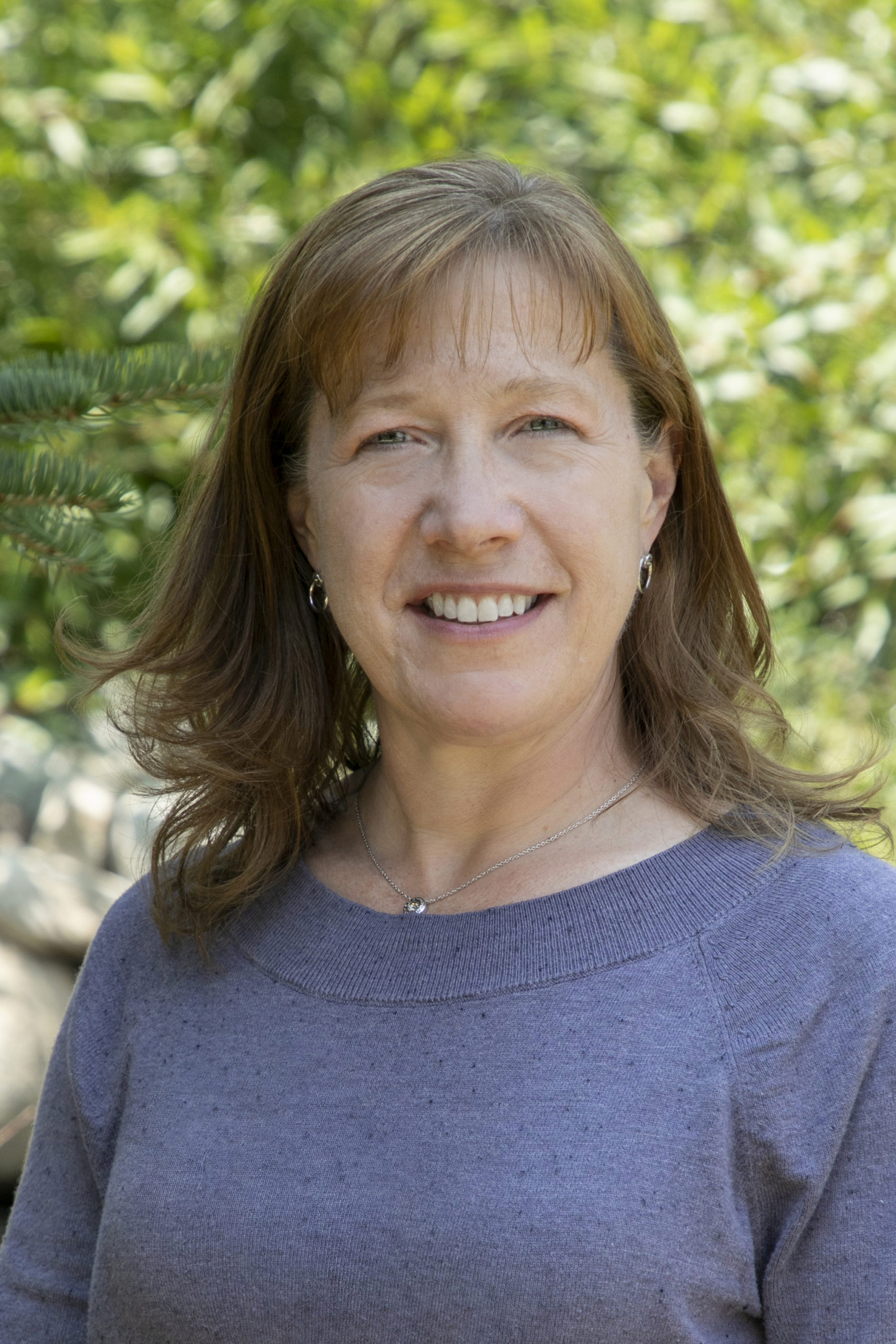 About Us – Swift, Snow & Associates